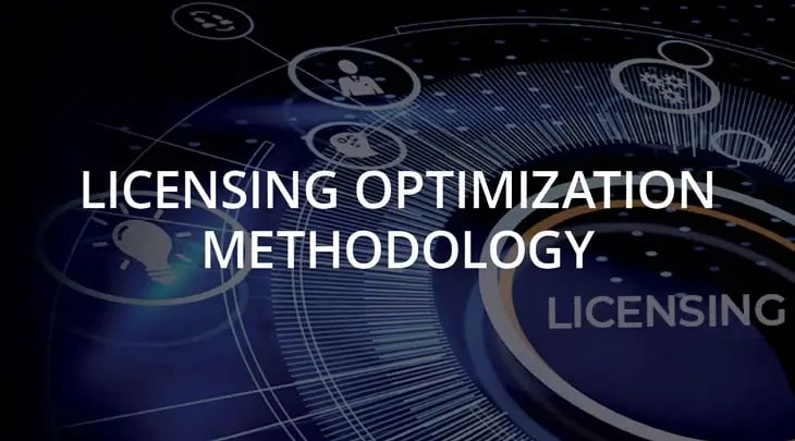 Licensing Optimization Methodology